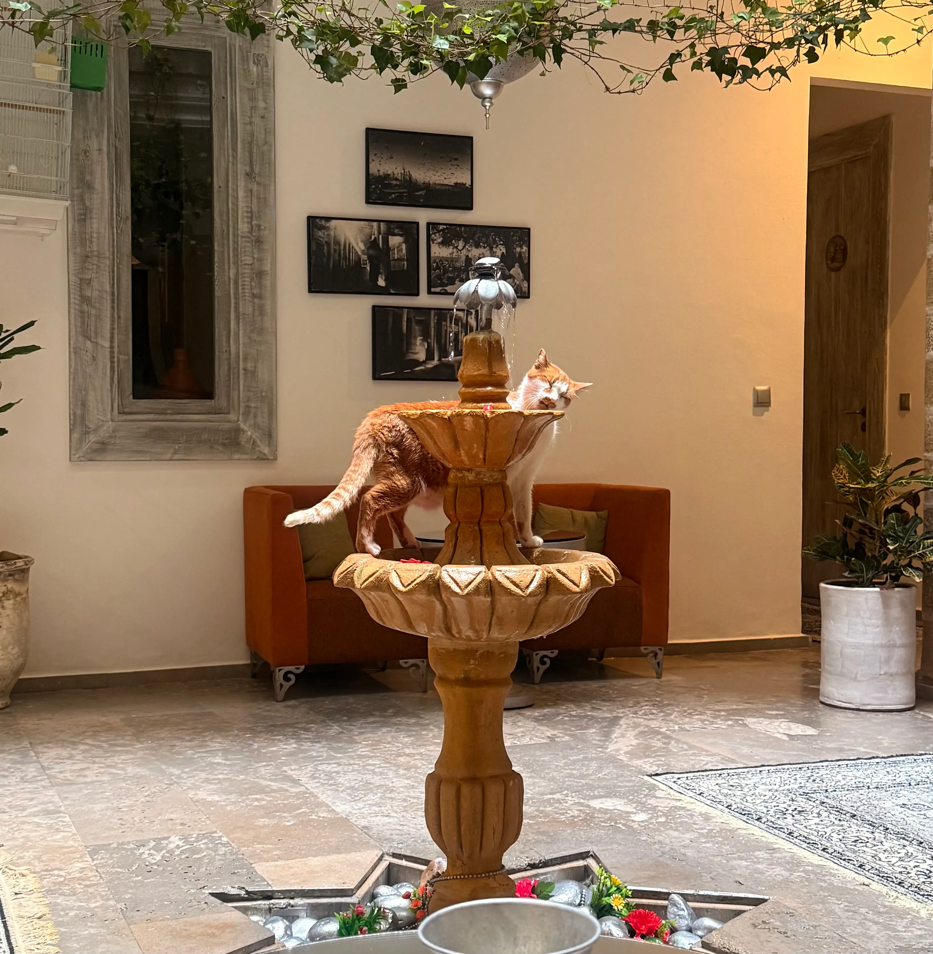 Our Hammam Experience in Essaouira: at Riad Raoud Rayhane
