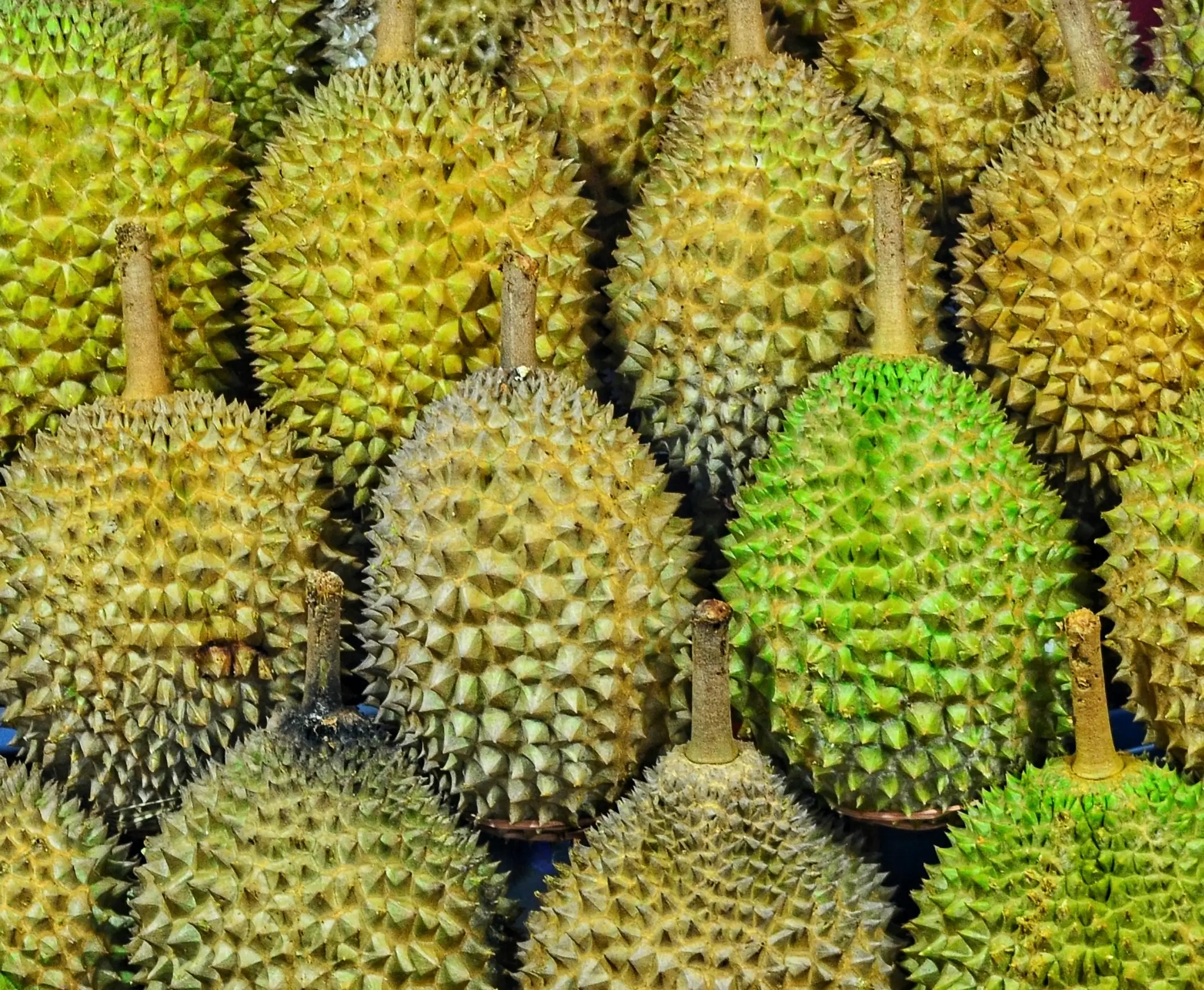 Exotic Fruits of Thailand: The 8 Best Fruits You Must Try